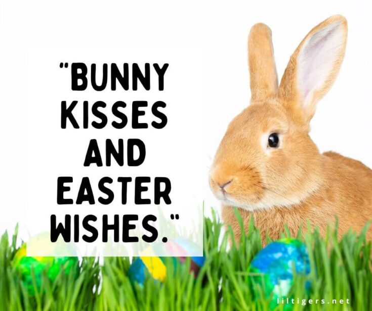 130 Best Bunny Quotes for Kids - Lil Tigers