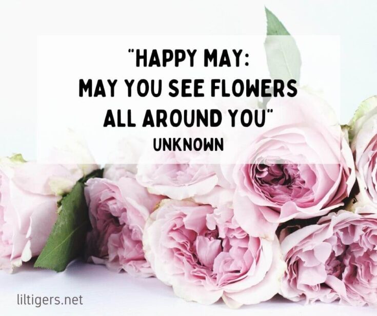 230 Hello May Quotes, Sayings, & Wishes for Kids 2025 - Lil Tigers