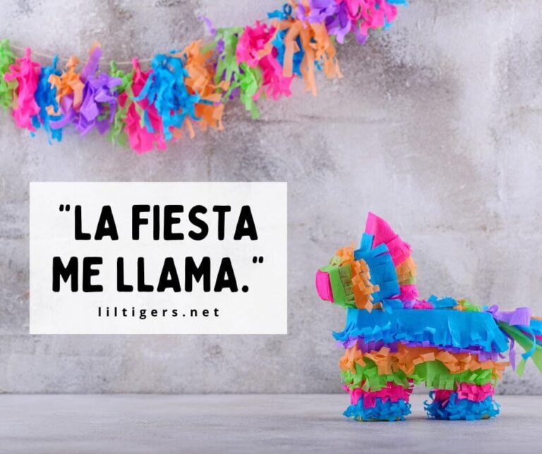 85 Happy Cinco de Mayo Quotes, Sayings, & Wishes - Lil Tigers