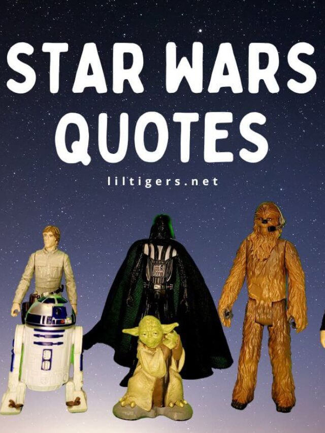 Best Star Wars Quotes for May 4th Star Wars Day - Lil Tigers