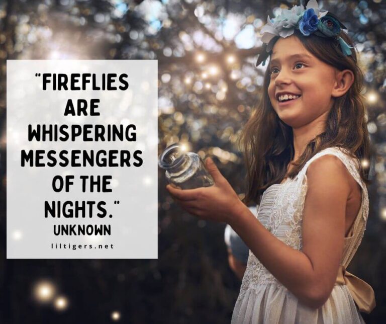 50 Best Fireflies Quotes for Summer Nights - Lil Tigers
