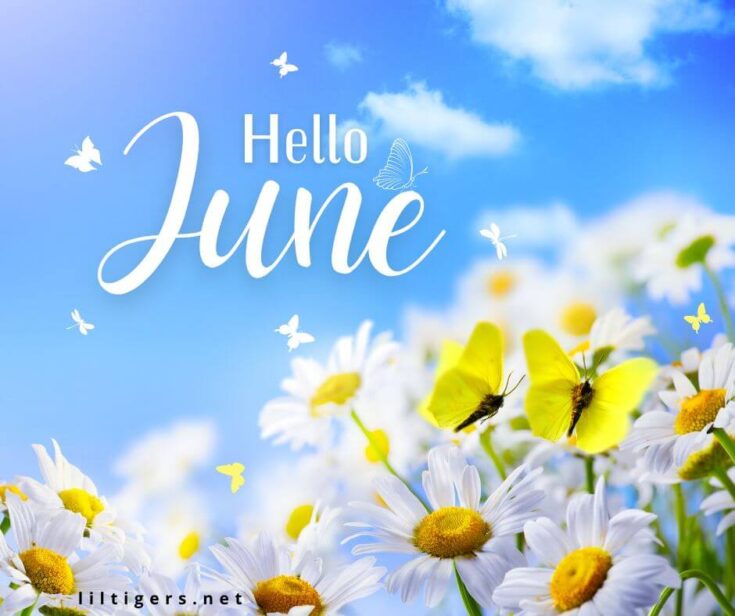 150 Hello June Quotes, Sayings & Wishes (2023) - Lil Tigers