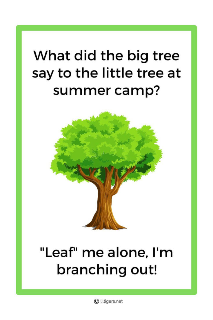 55 Best Summer Camp Jokes for Kids - Lil Tigers