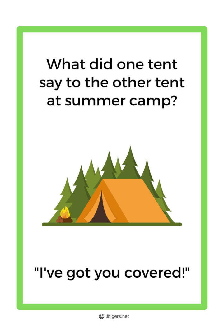 55 Best Summer Camp Jokes for Kids - Lil Tigers