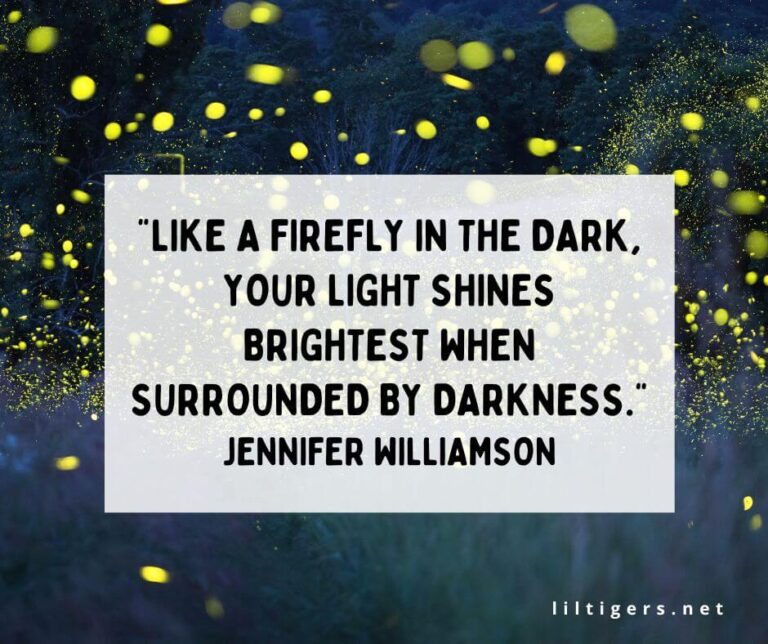 50 Best Fireflies Quotes for Summer Nights - Lil Tigers