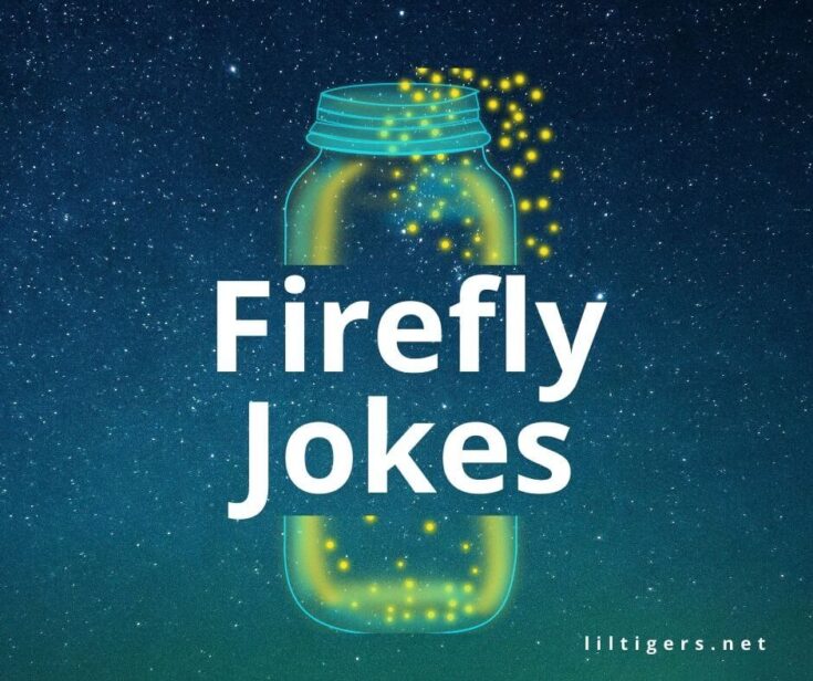 60 Fun Firefly Jokes and Puns - Lil Tigers