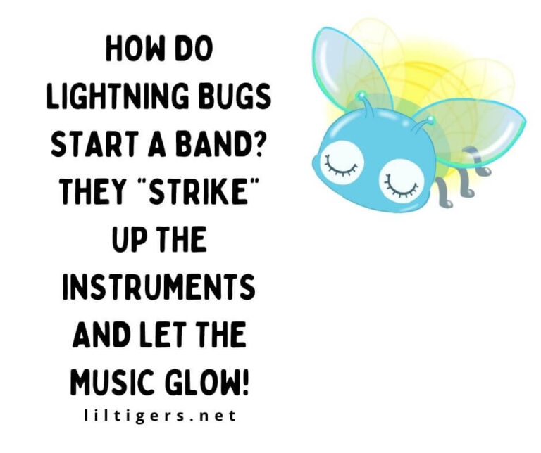 60 Fun Firefly Jokes and Puns - Lil Tigers