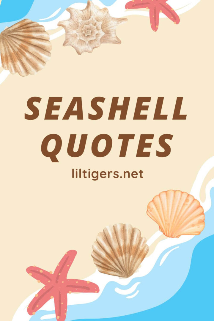100 Best Seashell Quotes for Kids - Lil Tigers