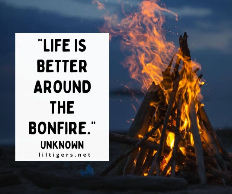 75 Best Bonfire Quotes for Kids - Lil Tigers