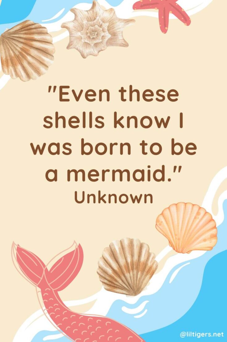 100 Best Seashell Quotes for Kids - Lil Tigers