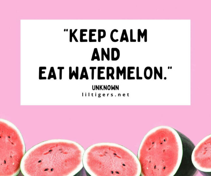 85 Best Watermelon Quotes for Kids - Lil Tigers