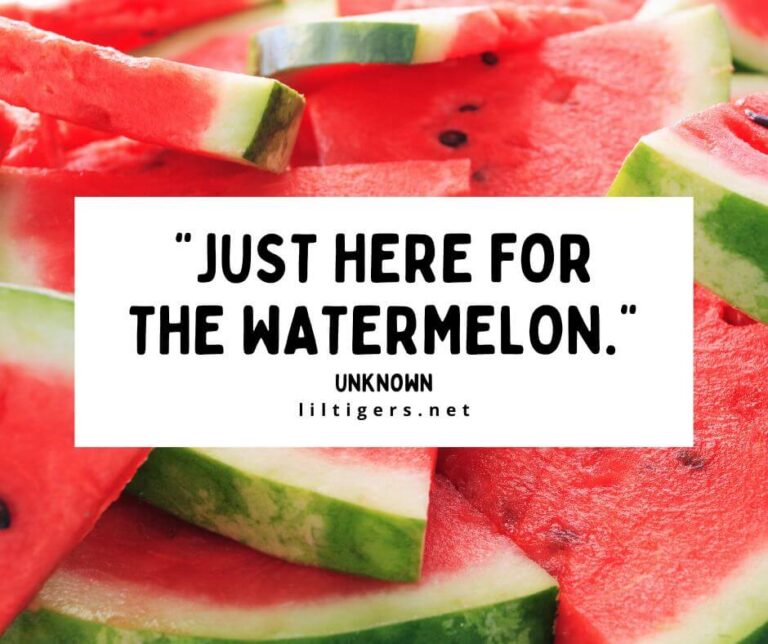 85 Best Watermelon Quotes for Kids - Lil Tigers