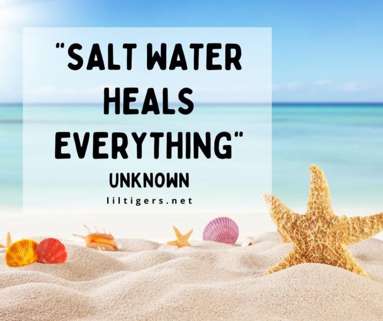 180 Beach Quotes for Kids: Spark Their Imagination in the Sun