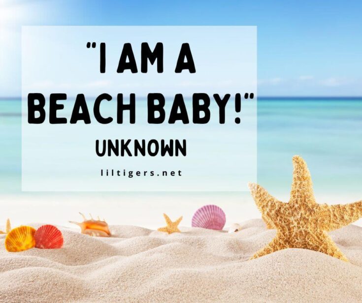 180 Beach Quotes for Kids: Spark Their Imagination in the Sun