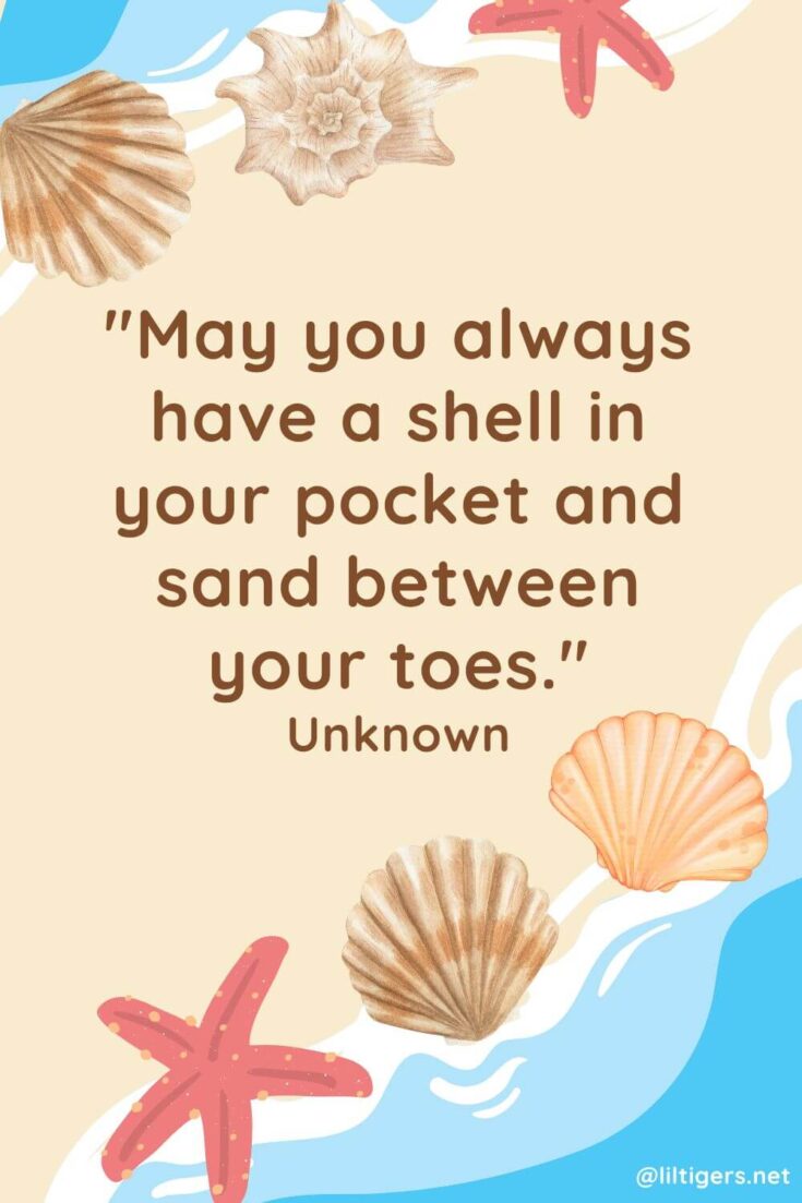 100 Best Seashell Quotes for Kids - Lil Tigers