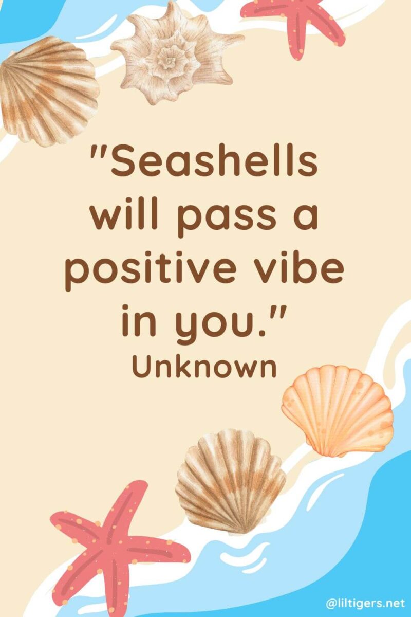 100 Best Seashell Quotes for Kids - Lil Tigers