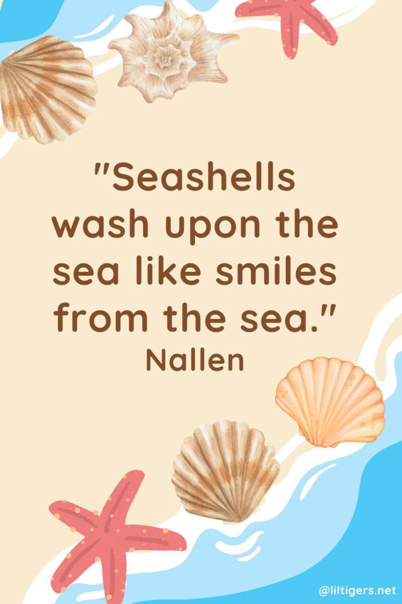 100 Best Seashell Quotes for Kids - Lil Tigers