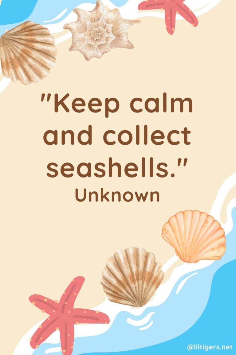 100 Best Seashell Quotes for Kids - Lil Tigers