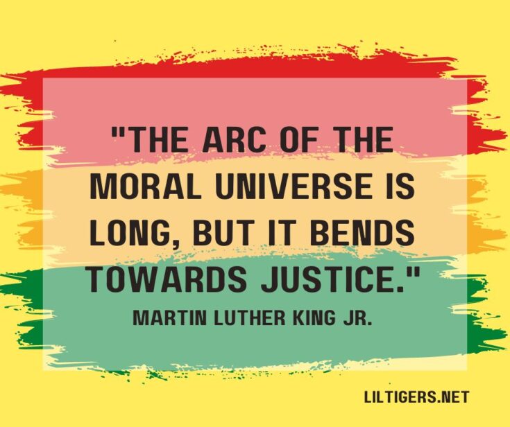 70 Inspiring Juneteenth Quotes for Kids - Lil Tigers