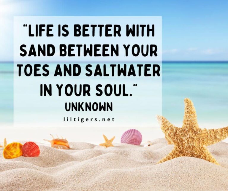 180 Beach Quotes for Kids: Spark Their Imagination in the Sun
