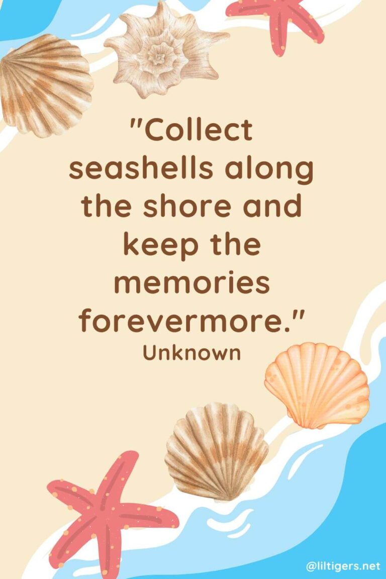 100 Best Seashell Quotes for Kids - Lil Tigers