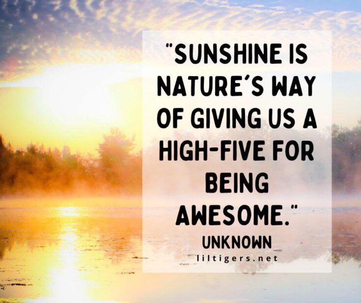 200 Best Hello Sunshine Quotes for Kids - Lil Tigers