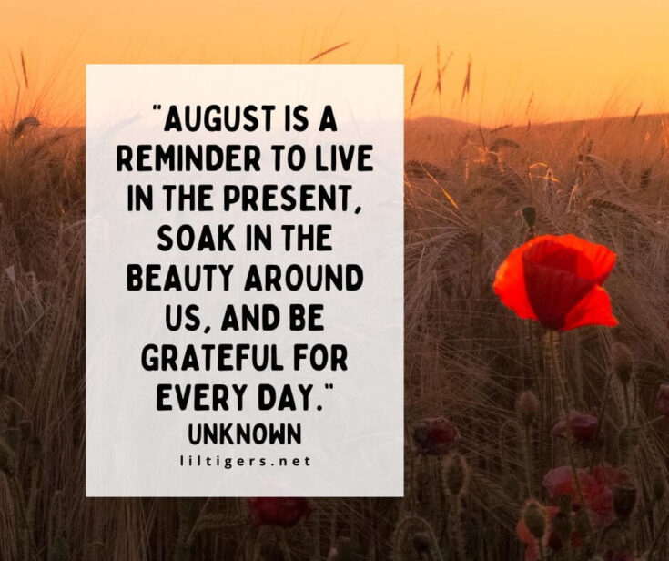 210 Hello August Quotes, Sayings & Wishes 2025 - Lil Tigers