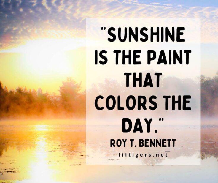 200 Best Hello Sunshine Quotes for Kids - Lil Tigers