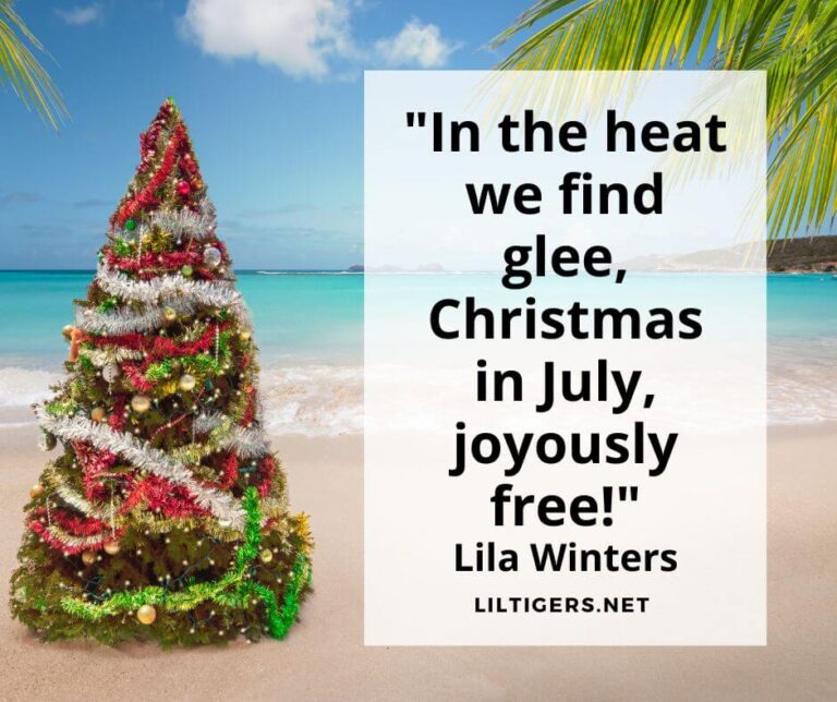 100 Best Christmas in July Quotes for Kids - Lil Tigers