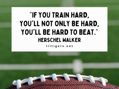 150 Inspiring Football Quotes for Kids - Lil Tigers