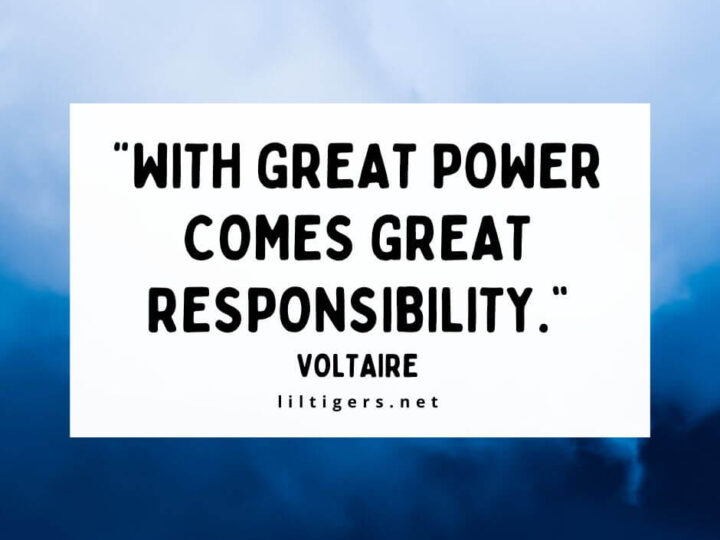 120 Best Responsibility Quotes for Kids - Lil Tigers