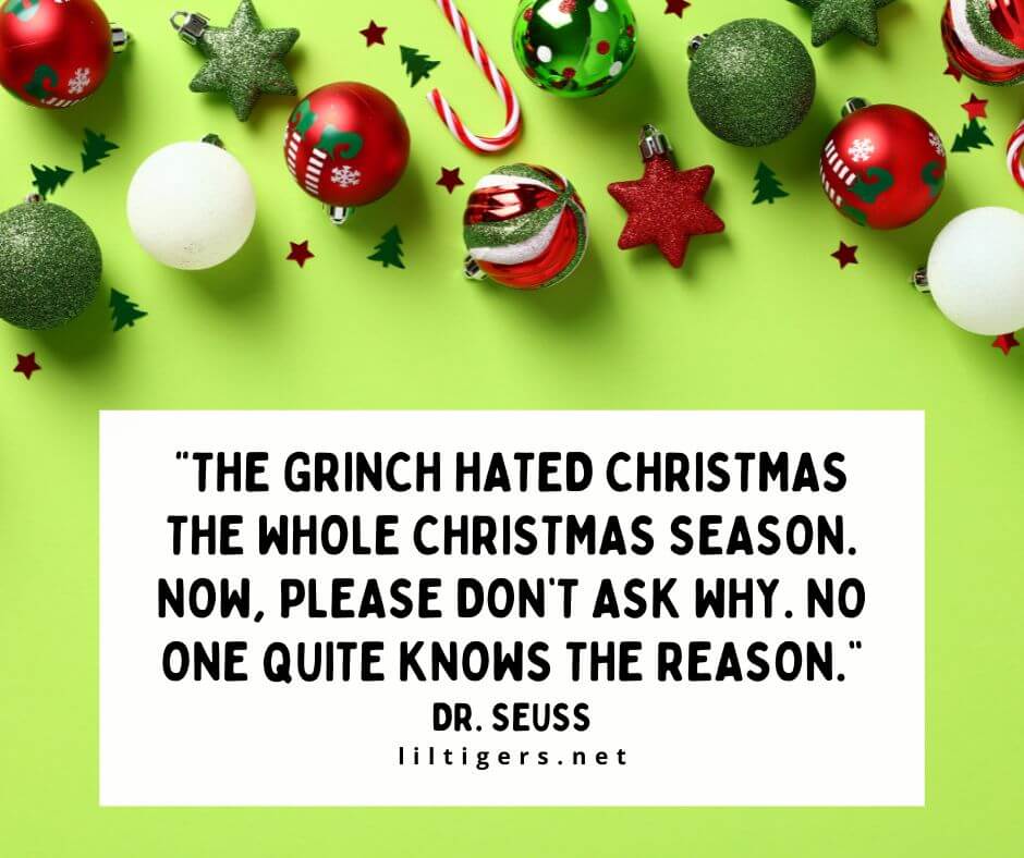 85 Best Grinch Quotes for Kids - Lil Tigers
