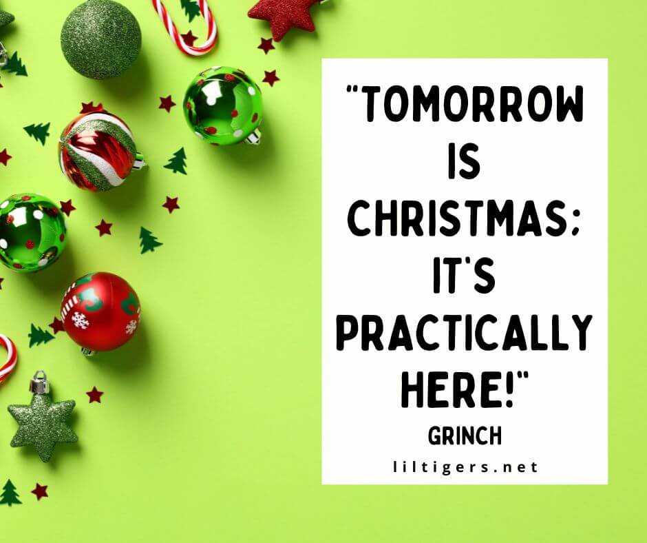 85 Best Grinch Quotes for Kids - Lil Tigers