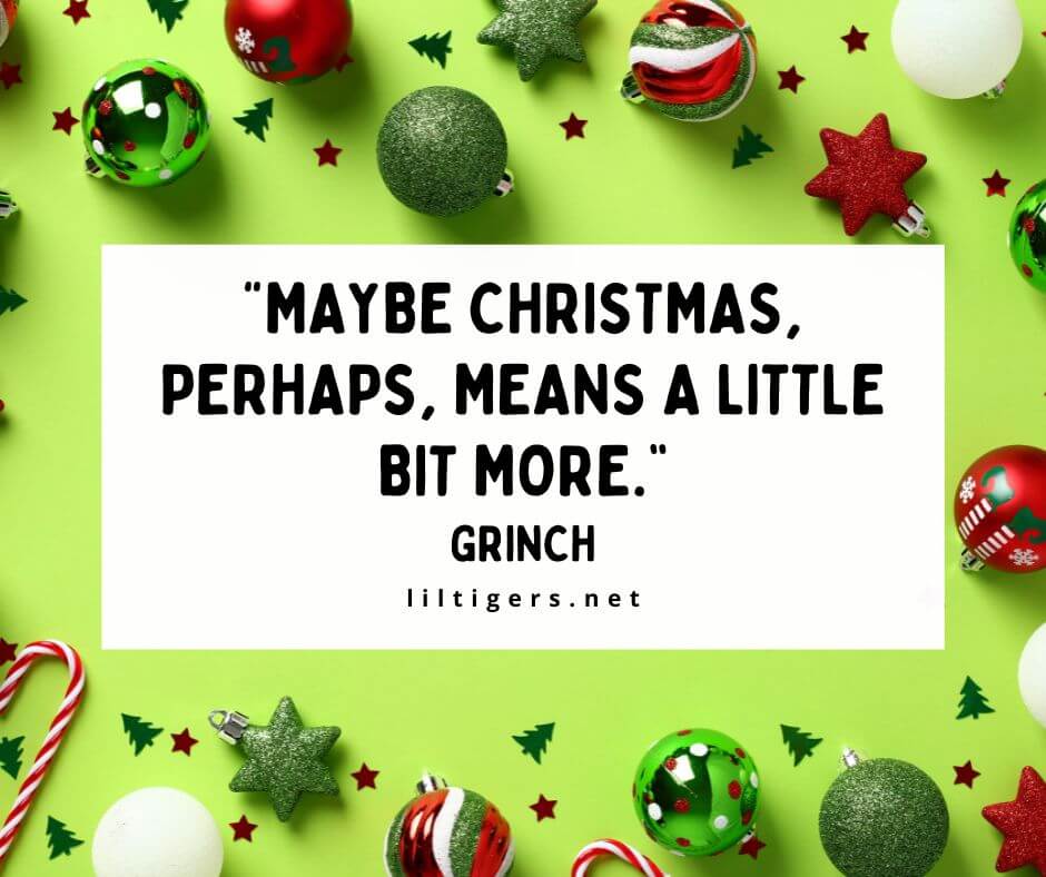 85 Best Grinch Quotes for Kids - Lil Tigers